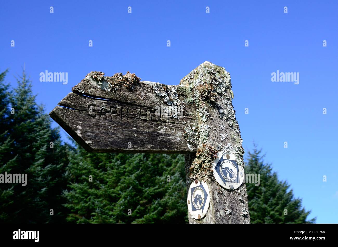 Lichen covered wooden footpath sign to Sarn Helen Roman Road brecon ...