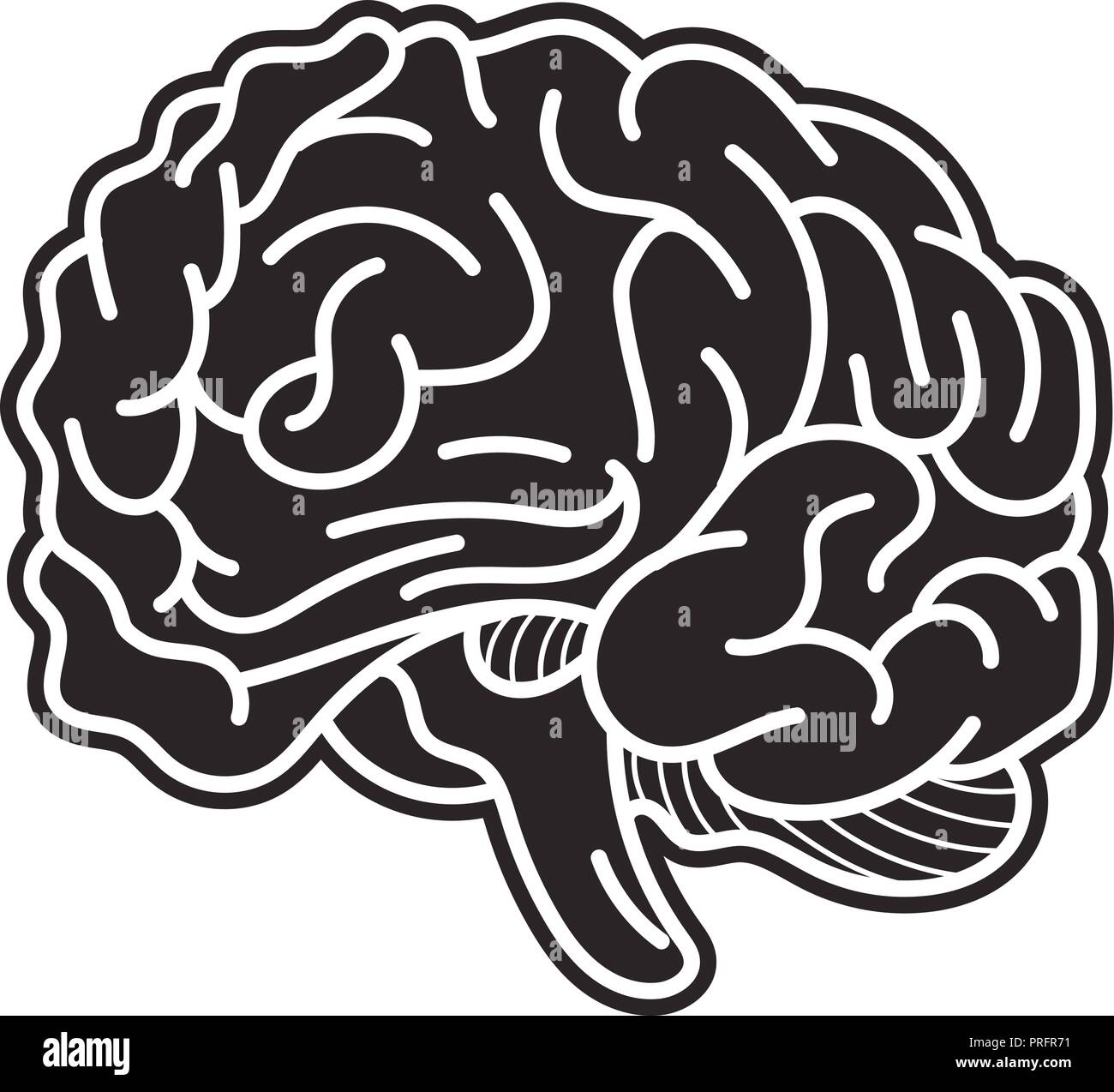 Genius Brain Clipart Pictures