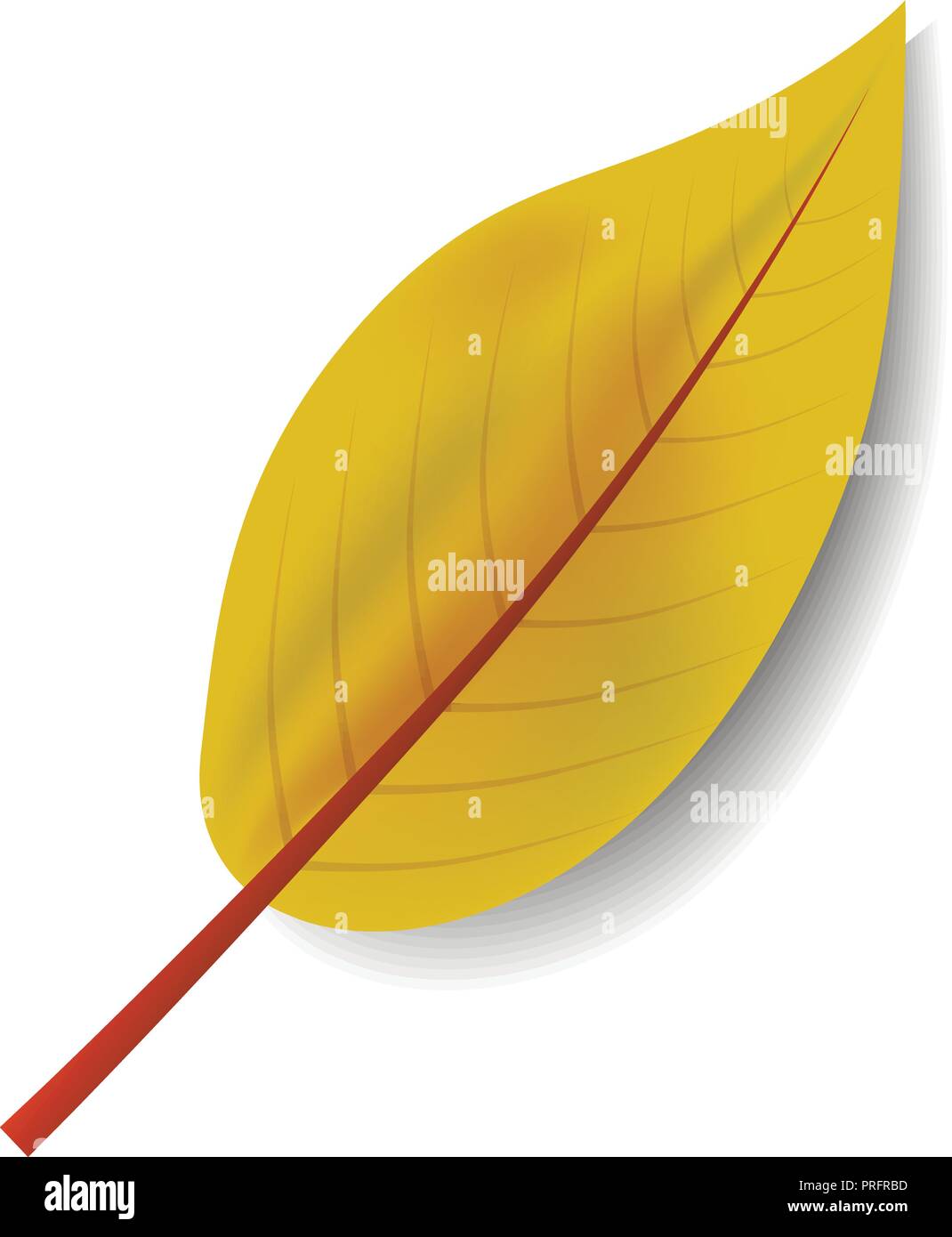 Yellow leaf icon, realistic style Stock Vector Image & Art - Alamy