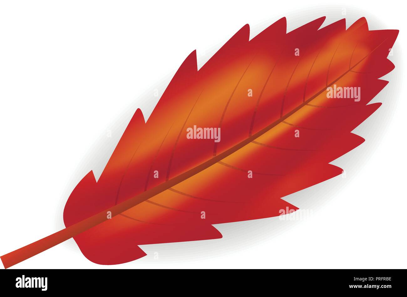Red leaf icon, realistic style Stock Vector Image & Art - Alamy