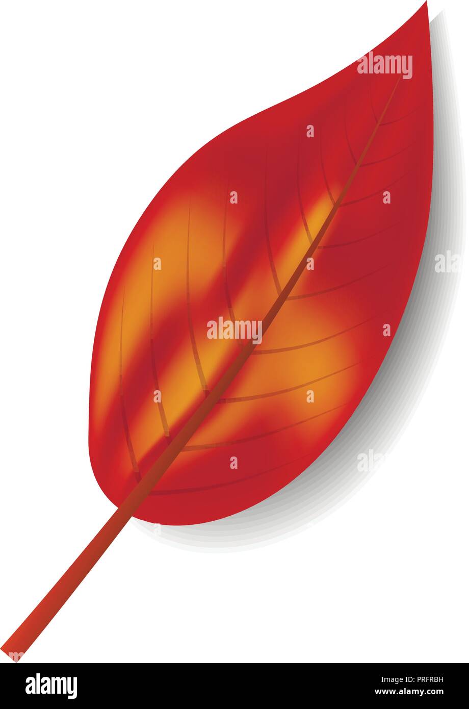 Autumn red leaf icon, realistic style Stock Vector Image & Art - Alamy