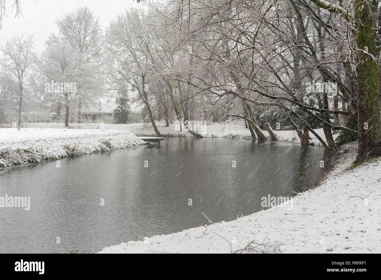Snowfall in a park with a pond in winter, Rotterdam, Netherlands Stock ...