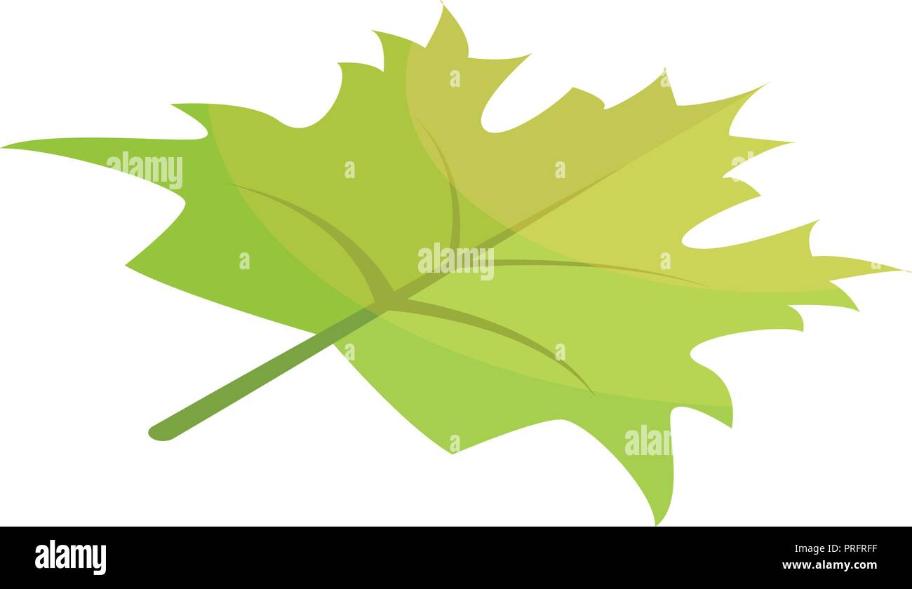 Green maple leaf icon, isometric style Stock Vector Image & Art - Alamy