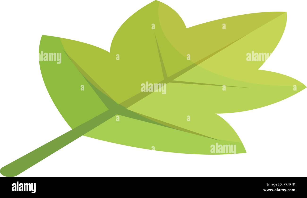 Viburnum green tree leaf icon, isometric style Stock Vector Image & Art ...