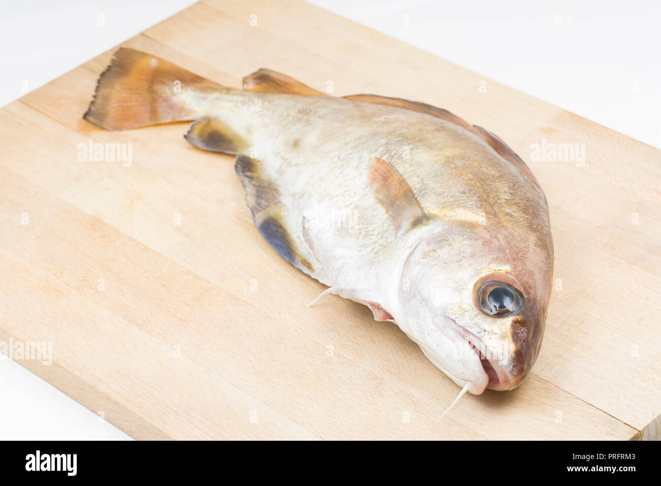 Pouting fish uk hi-res stock photography and images - Alamy