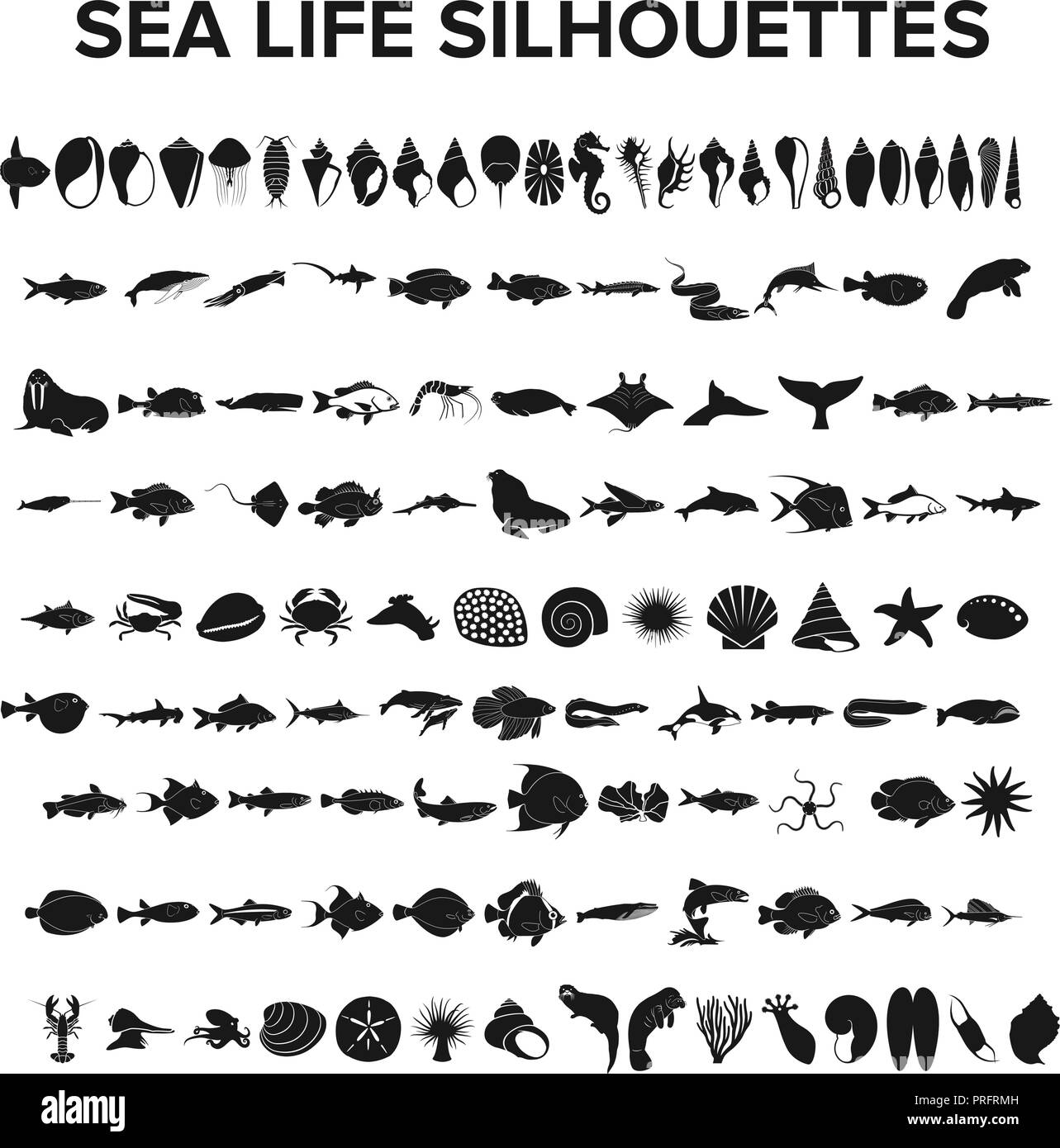 Sea life collection - vector illustration Stock Vector Image & Art - Alamy