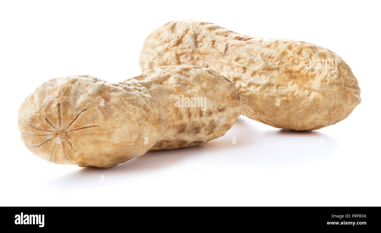 peanuts in pod isolated on white background Stock Photo - Alamy