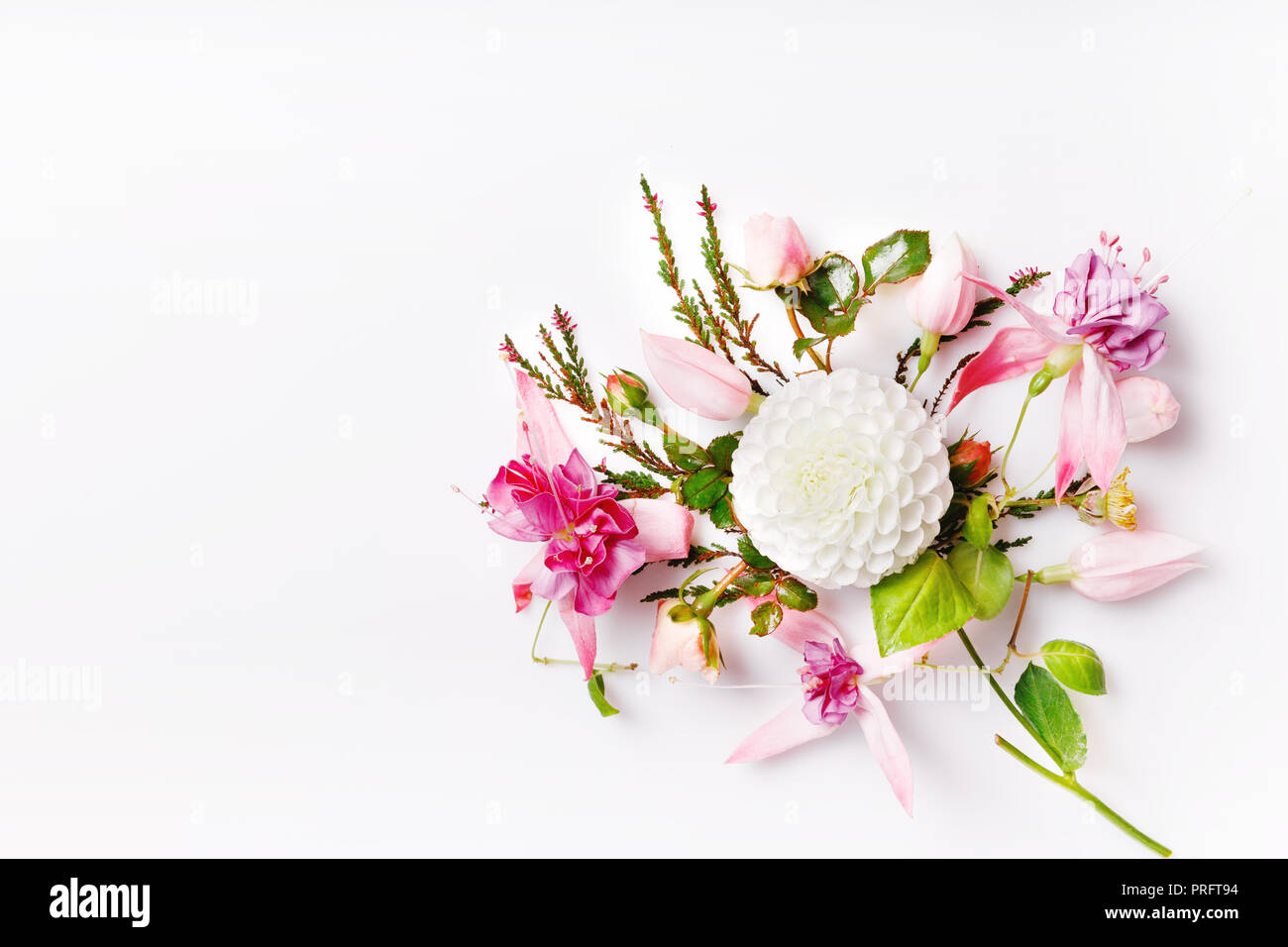 Festive congratulation card fresh Cut Out Stock Images & Pictures - Alamy