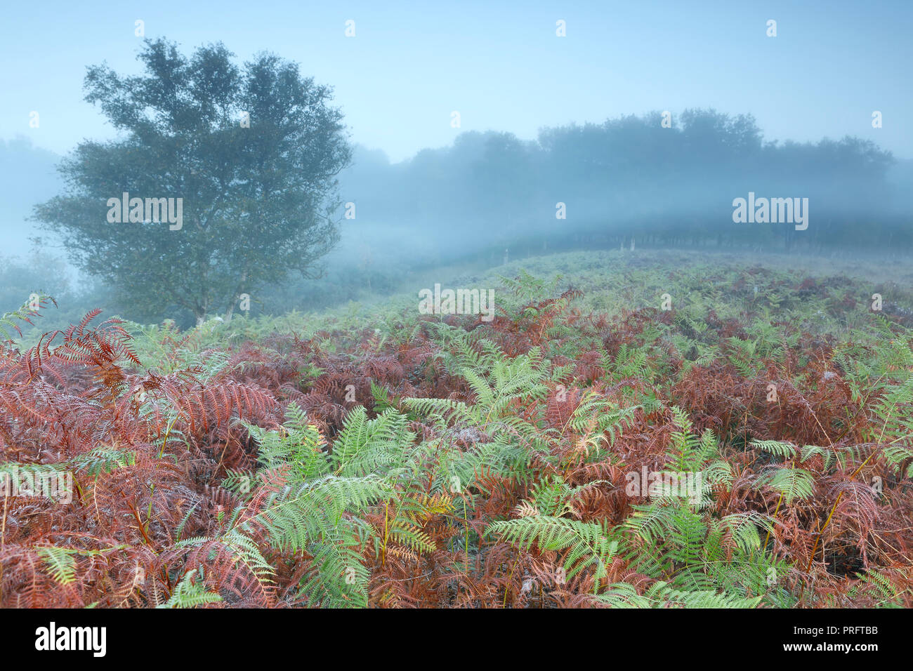 Fog over hill hi-res stock photography and images - Alamy