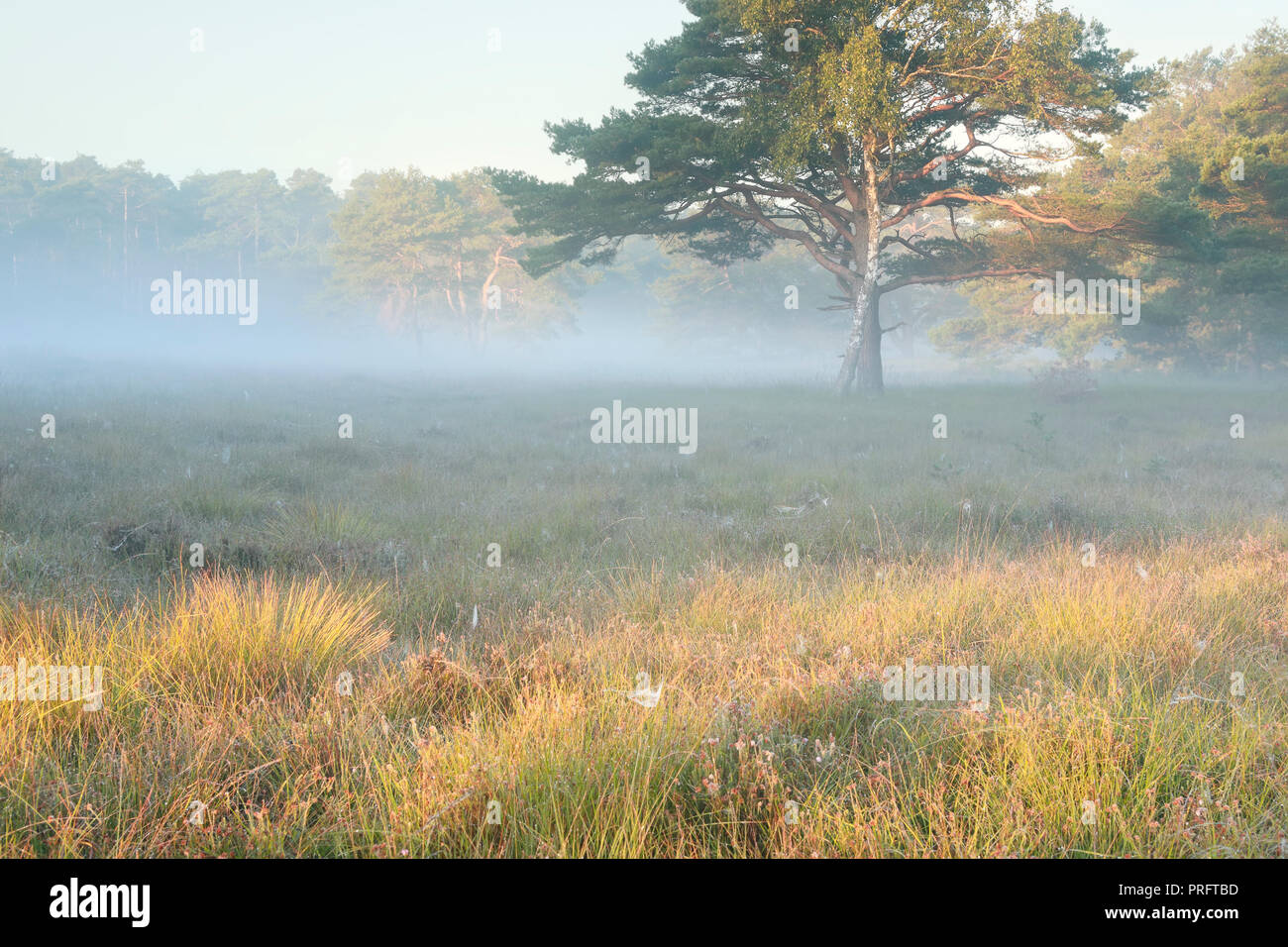 Hug shadow hi-res stock photography and images - Alamy