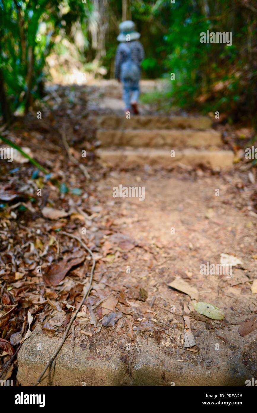 Clump mountain national park, Garners Beach Rd, Garners Beach QLD 4852 ...
