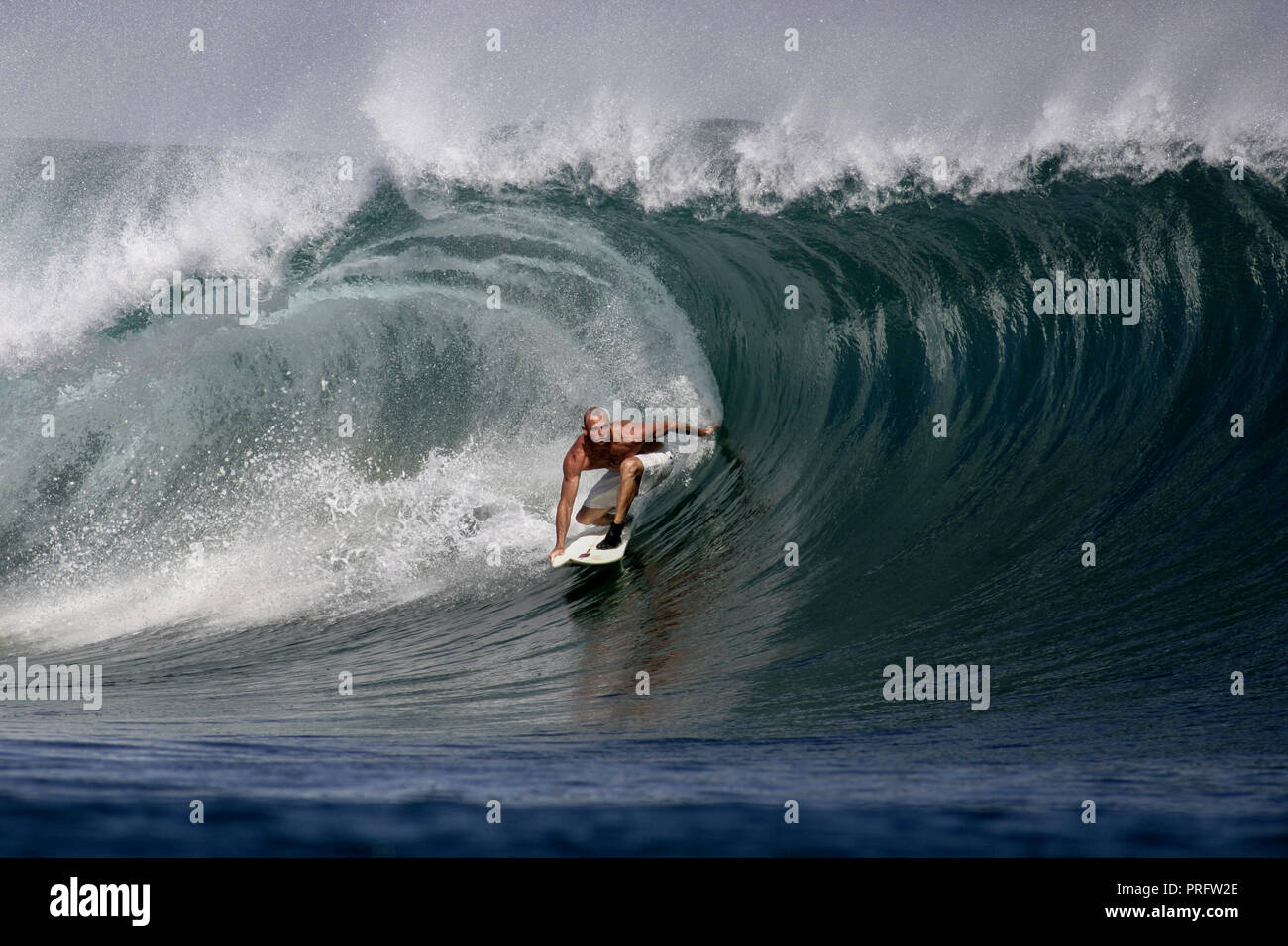 Reef Surfing Wallpapers