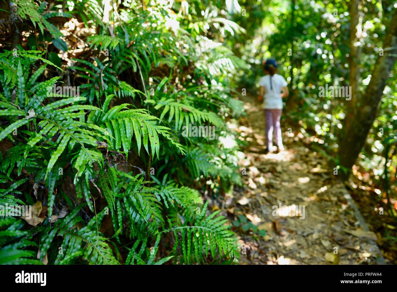 Clump mountain national park, Garners Beach Rd, Garners Beach QLD 4852 ...