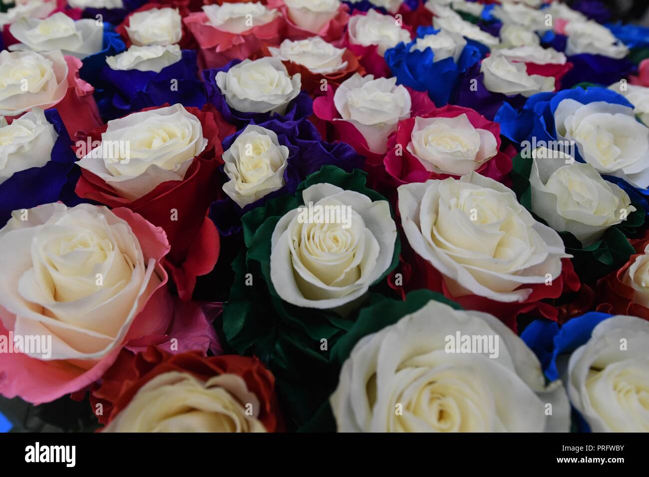 Crocus expo moscow hi-res stock photography and images - Alamy