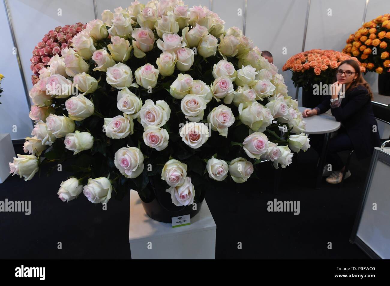 Crocus expo hi-res stock photography and images - Alamy