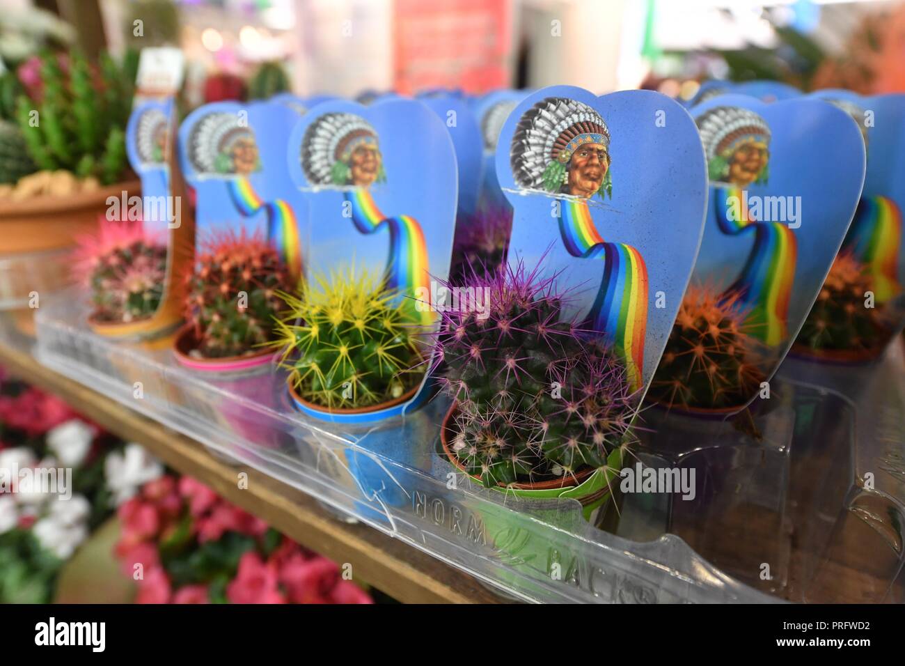 Crocus expo moscow hi-res stock photography and images - Alamy