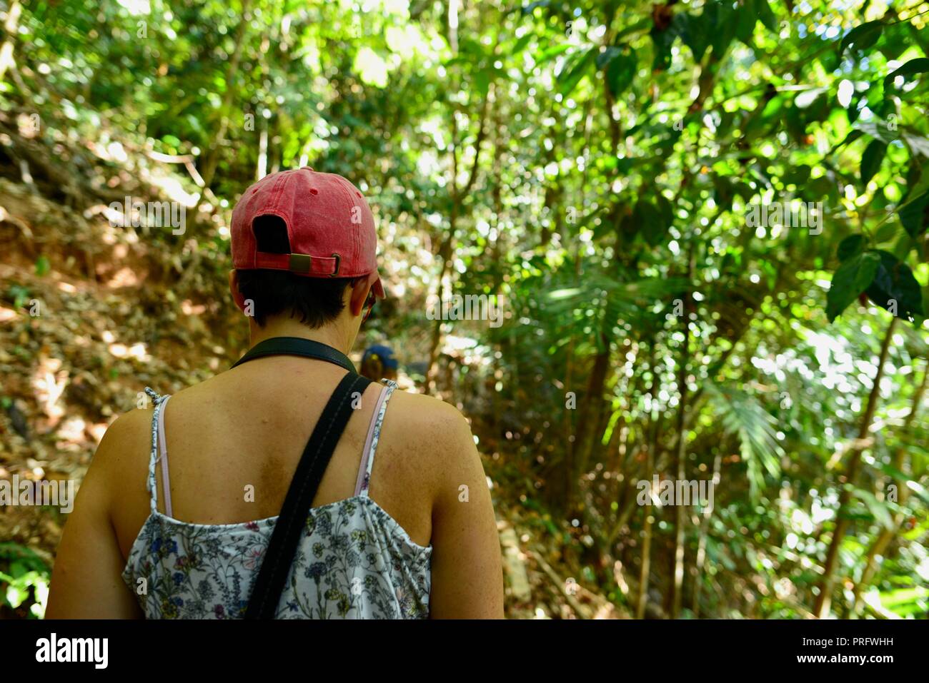 Clump mountain national park, Garners Beach Rd, Garners Beach QLD 4852 ...