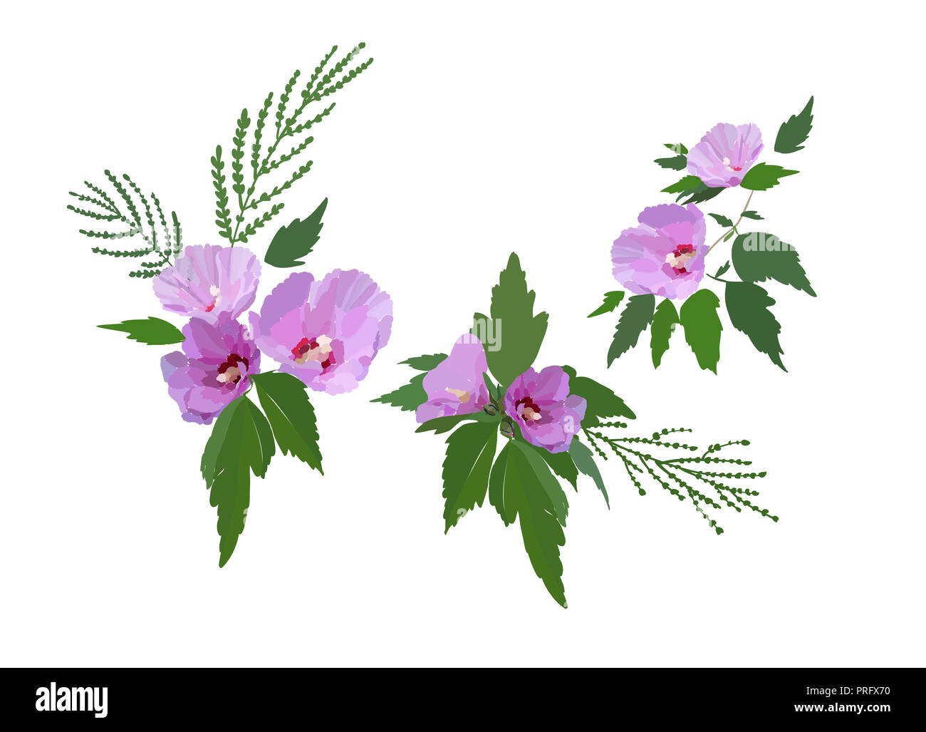 Printable Flower Scrapbook Designs