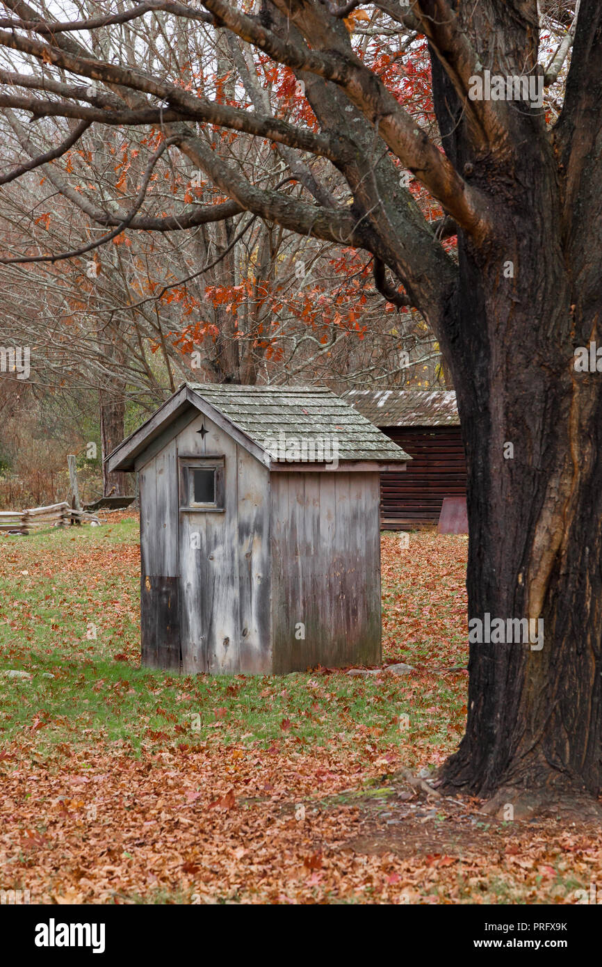 An old shed sits beneath a tree on a farm during autumn Stock Photo - Alamy