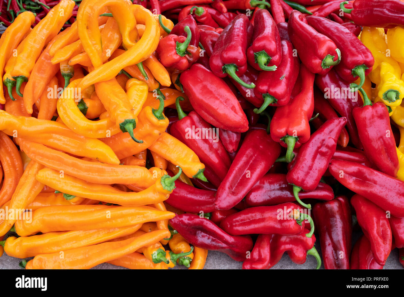 High country harvest festival hi-res stock photography and images - Alamy