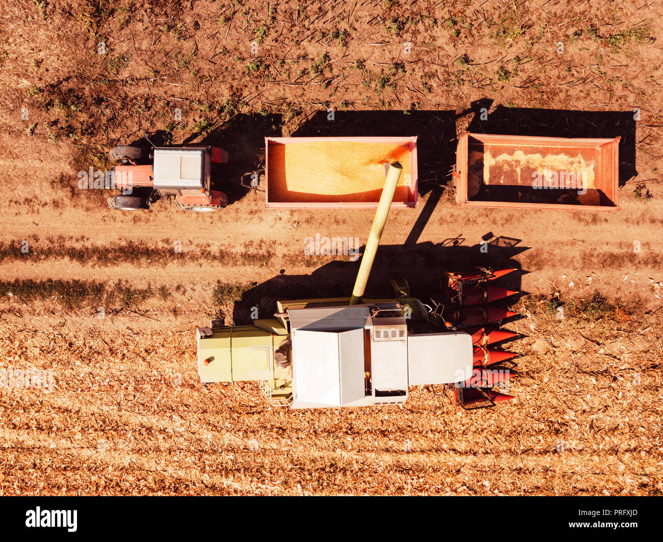 Aerial photography of combine harvester pouring harvested corn kernels ...