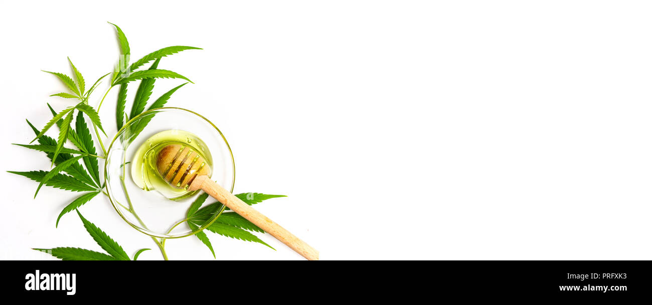 Cannabis plant green on Cut Out Stock Images & Pictures - Alamy