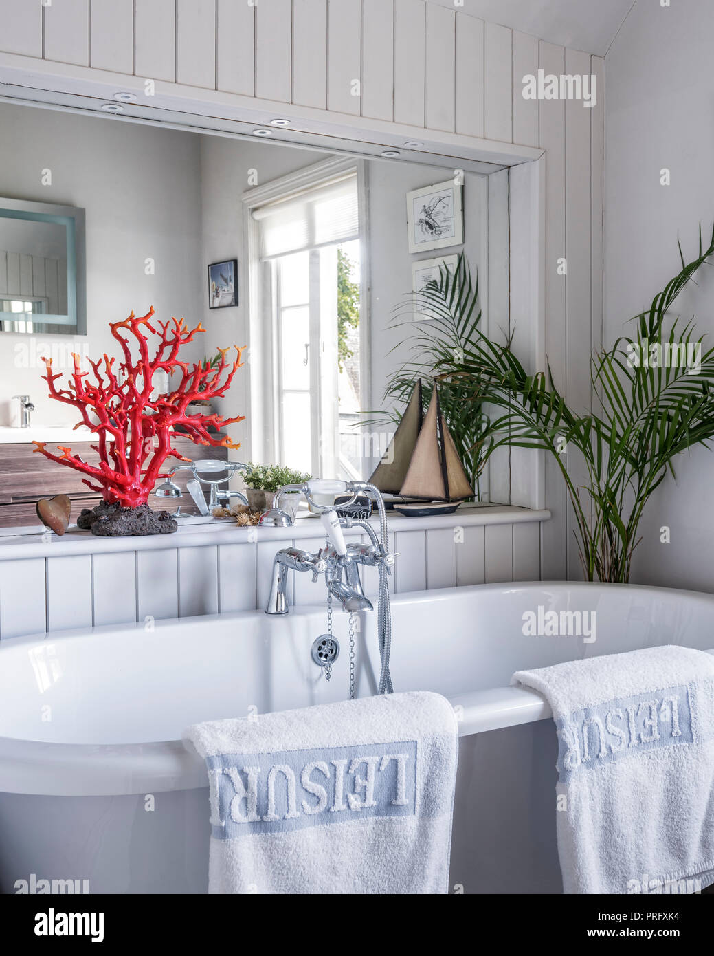 Red coral hi-res stock photography and images - Alamy