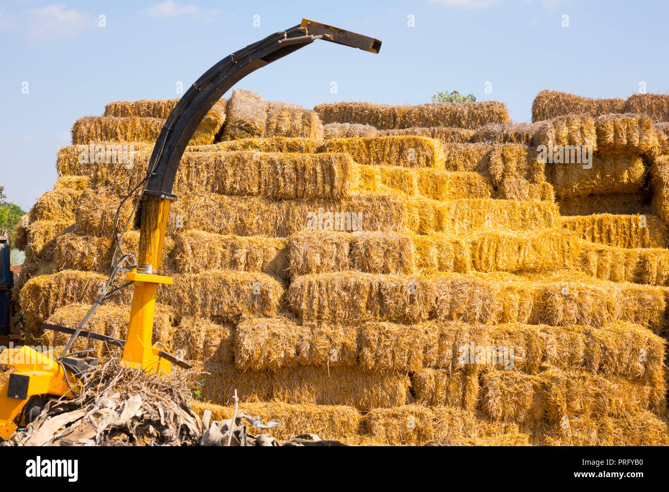 Straw bales is stored on a treated field in a large pyramid ...