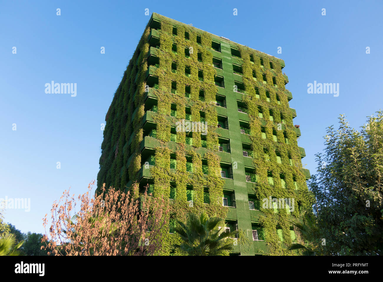 New building facade overgrown with ivy plant Stock Photo - Alamy
