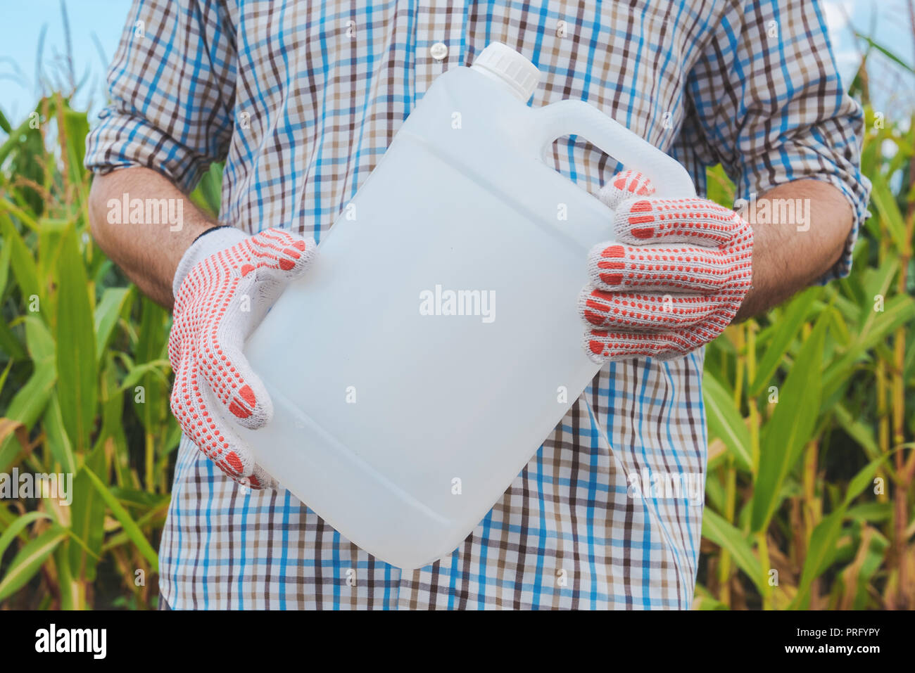 Farmer holding pesticide chemical jug in cornfield. Blank unlabelled ...