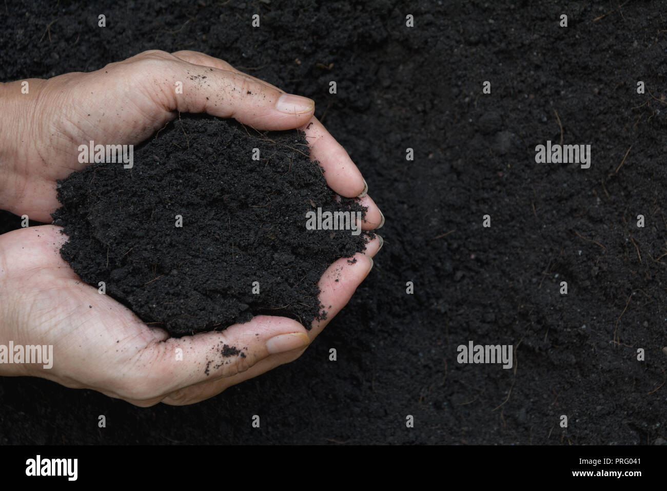 Hand of male holding soil in the hands for planting Stock Photo - Alamy