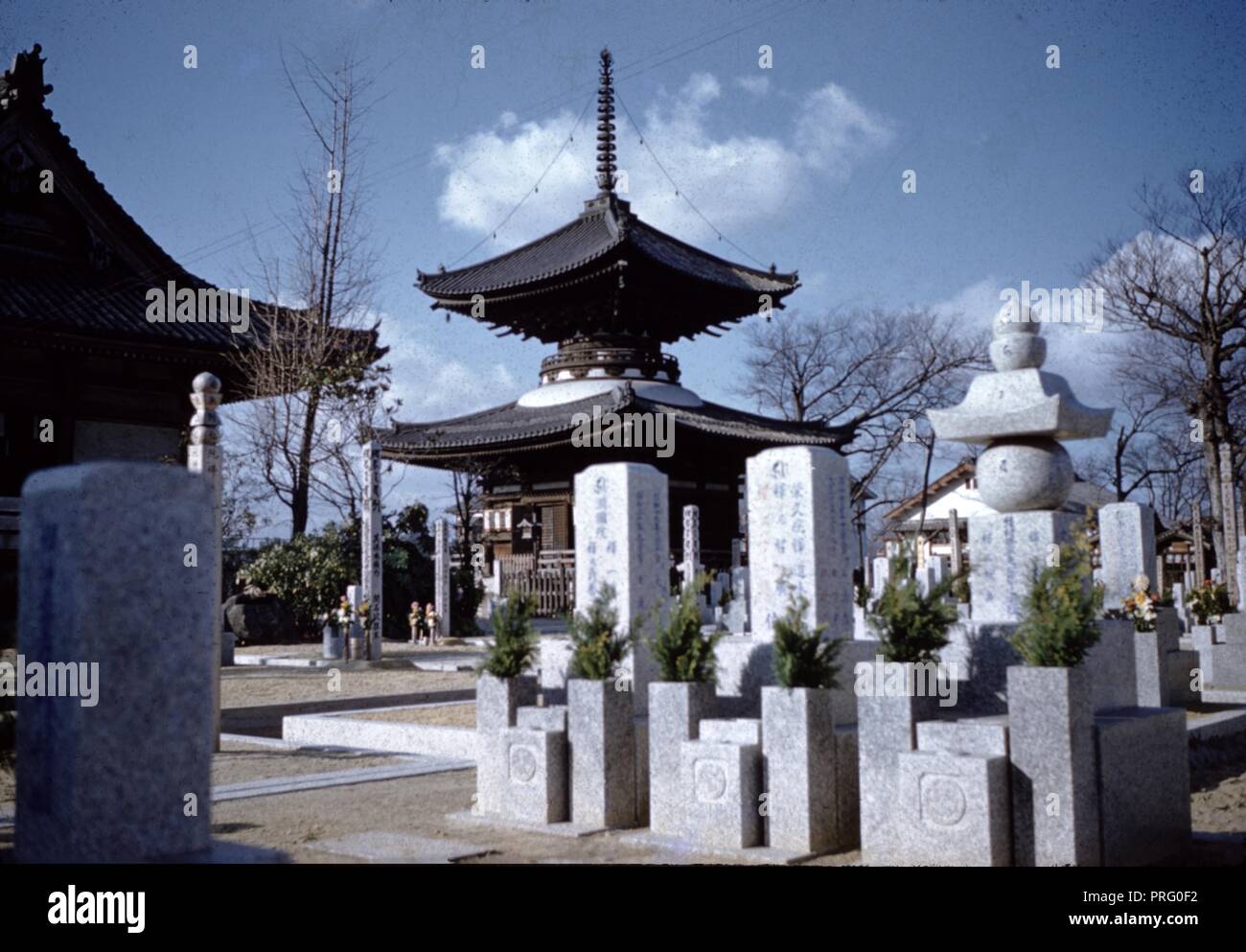 Temple building surrounded by carved grave stones at Japanese cemetery ...
