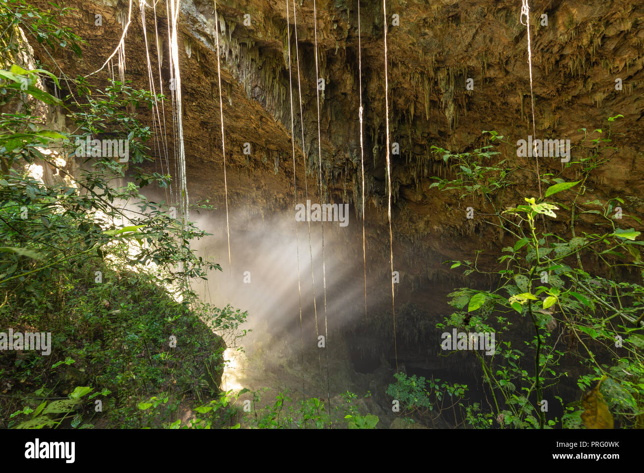 Cave environment hi-res stock photography and images - Alamy