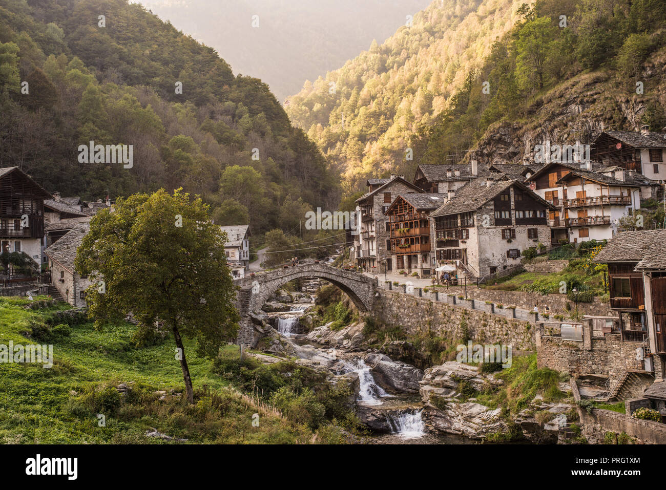 Rassa hi-res stock photography and images - Alamy