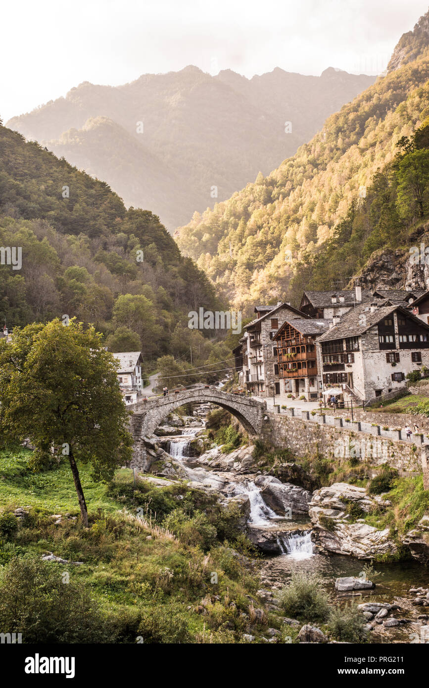 Rassa hi-res stock photography and images - Alamy