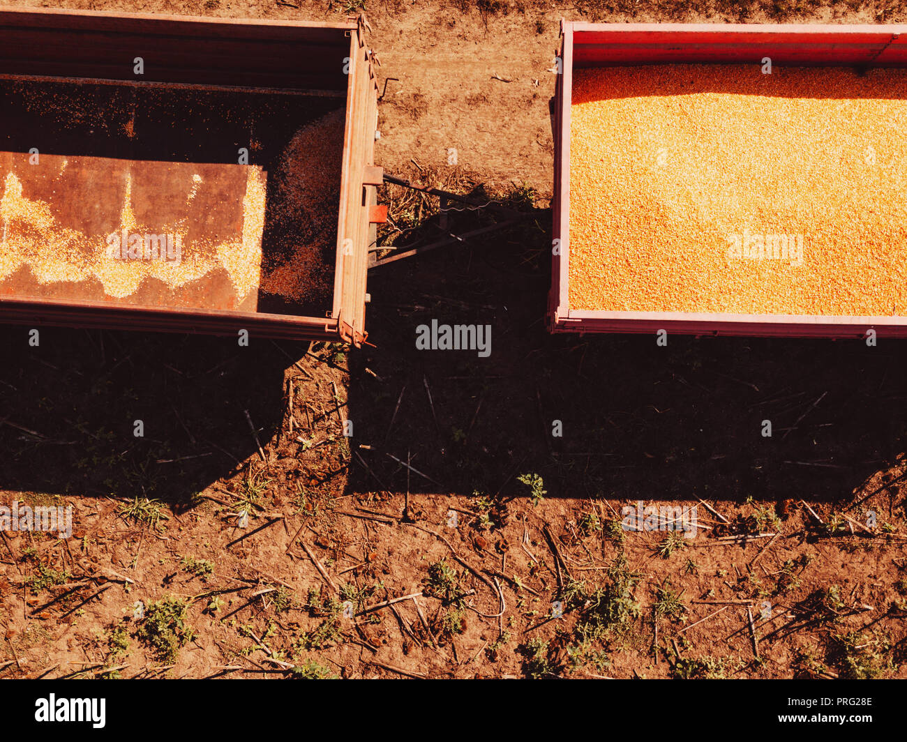 Aerial view of agricultural tractor with cargo carts in field loaded ...