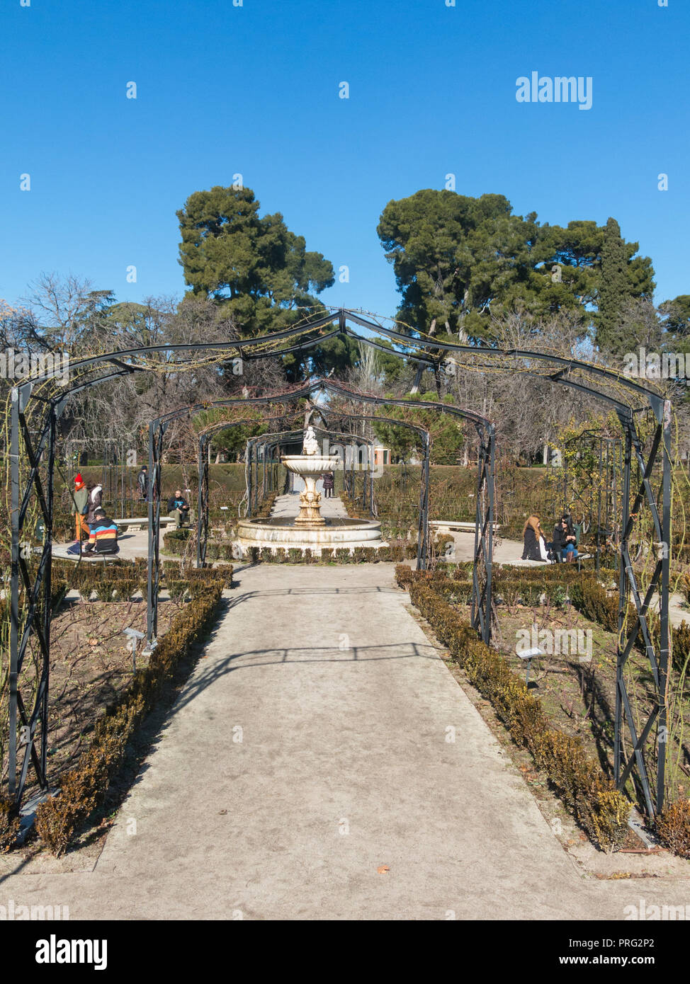 Madrid, Spain - January 27, 2018: Path in Garden of Roses in Buen ...