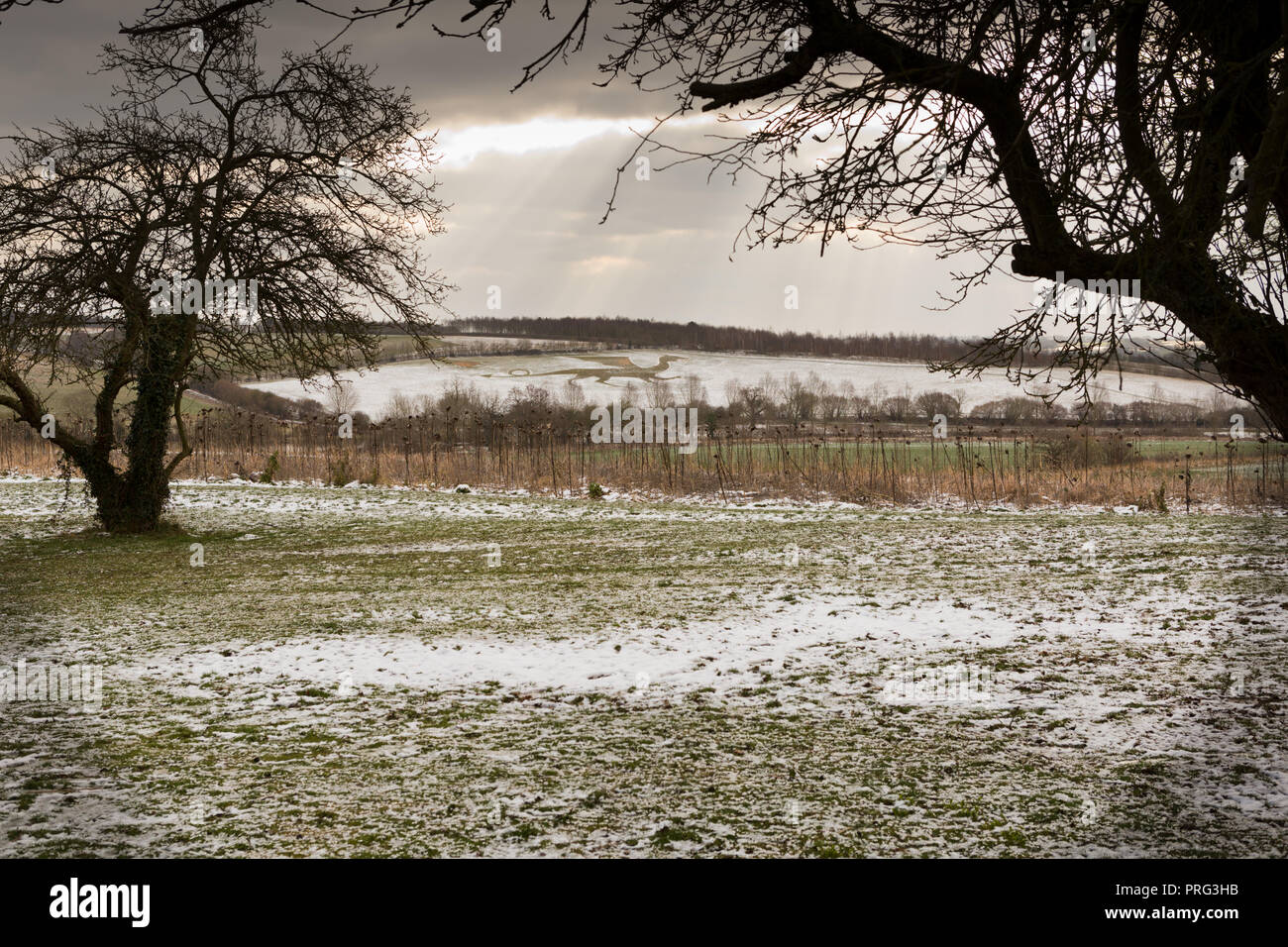 The Old Bures Dragon in a snow covered field. The Chonicles of St ...