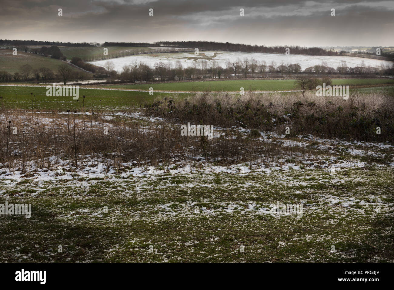 Bures dragon hi-res stock photography and images - Alamy