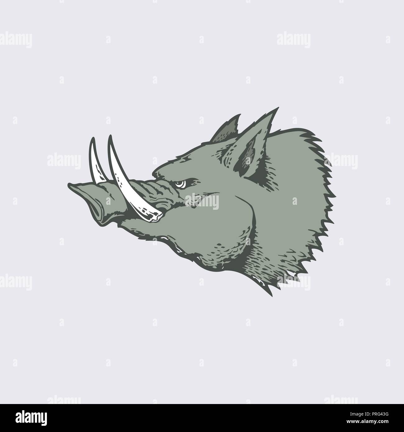 Angry Warthog Head Drawings 39 Warthog Face High Res Illustrations