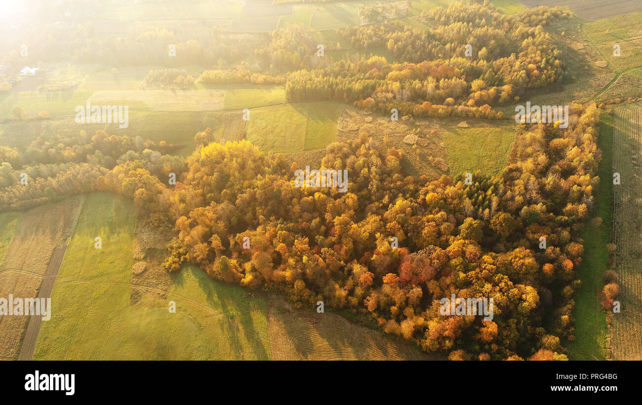 Aerial landscape - autumn fields at sunrise Stock Photo - Alamy