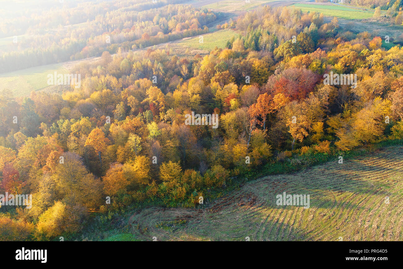 Aerial landscape - autumn trees Stock Photo - Alamy