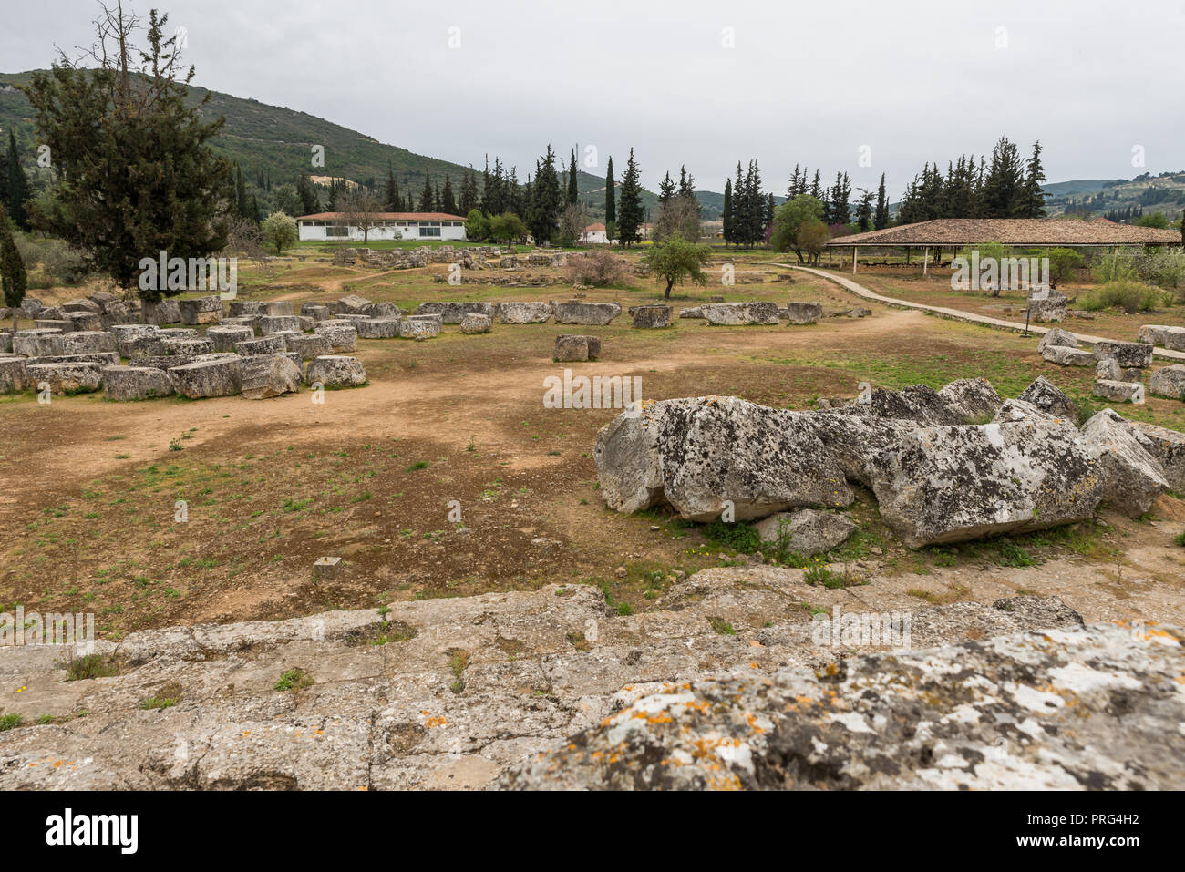 Nemea ancient site in Greece, Europe Stock Photo - Alamy