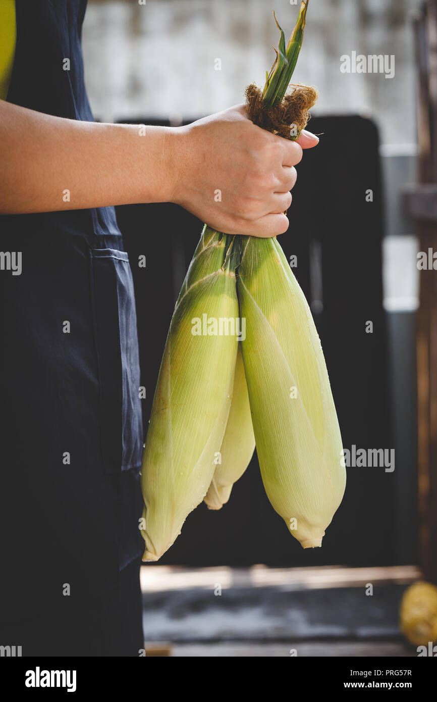Maize grain fresh hi-res stock photography and images - Alamy