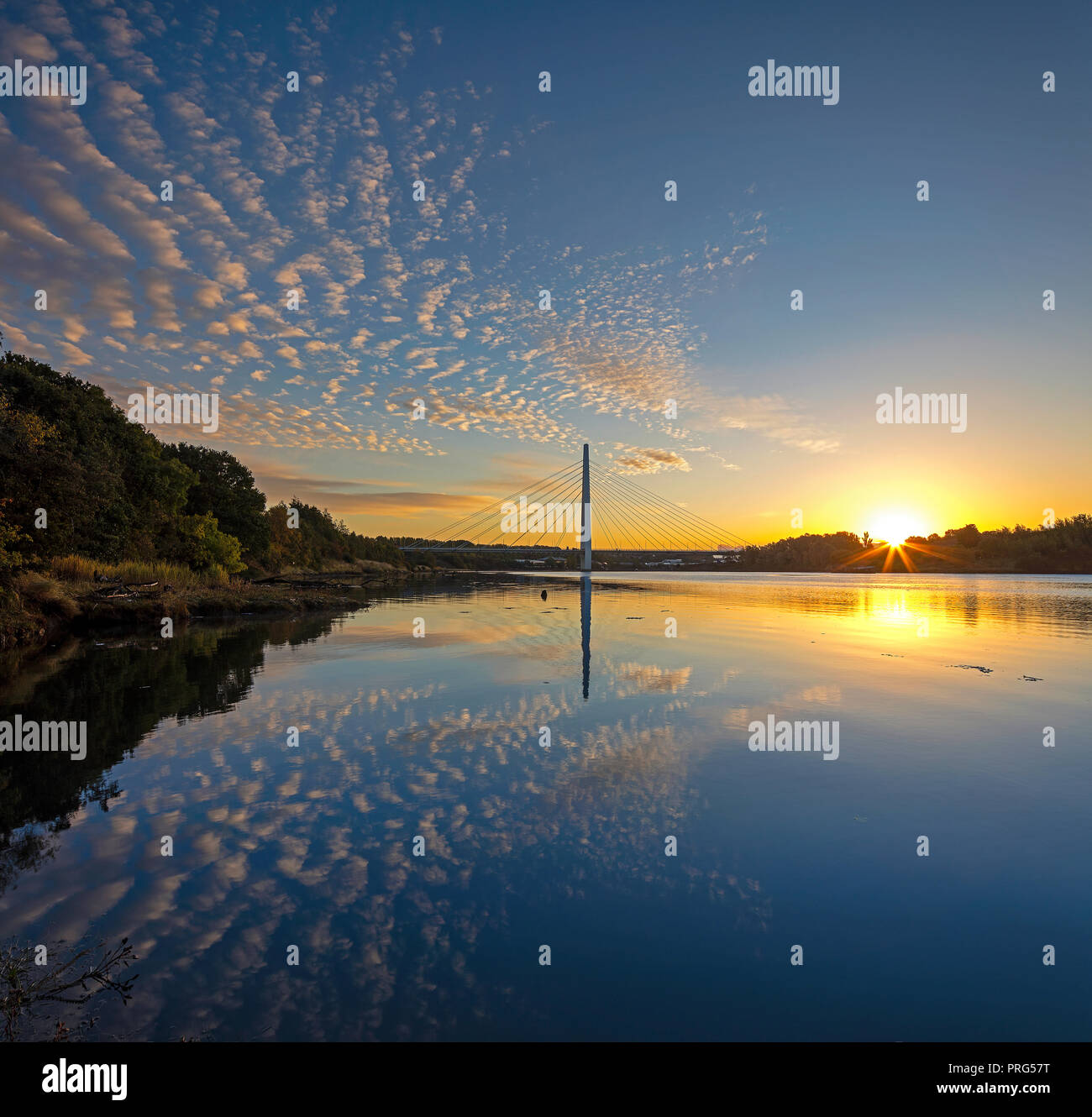 Northern Spire bridge over the River Wear, Sunderland, Tyne & Wear ...