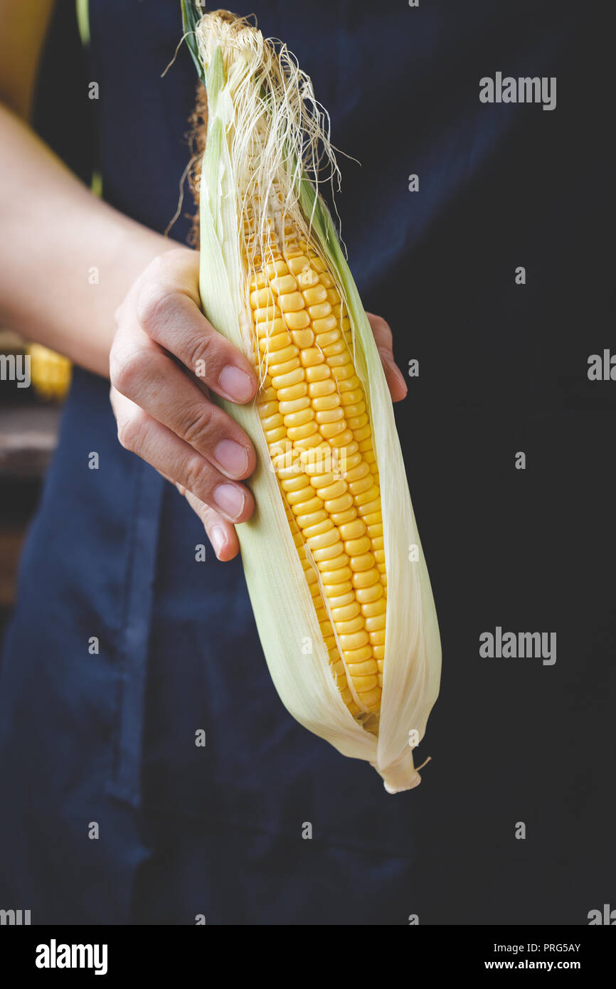 Fresh maize hi-res stock photography and images - Alamy