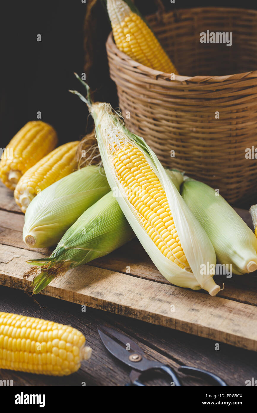 Maize fresh plant hi-res stock photography and images - Alamy