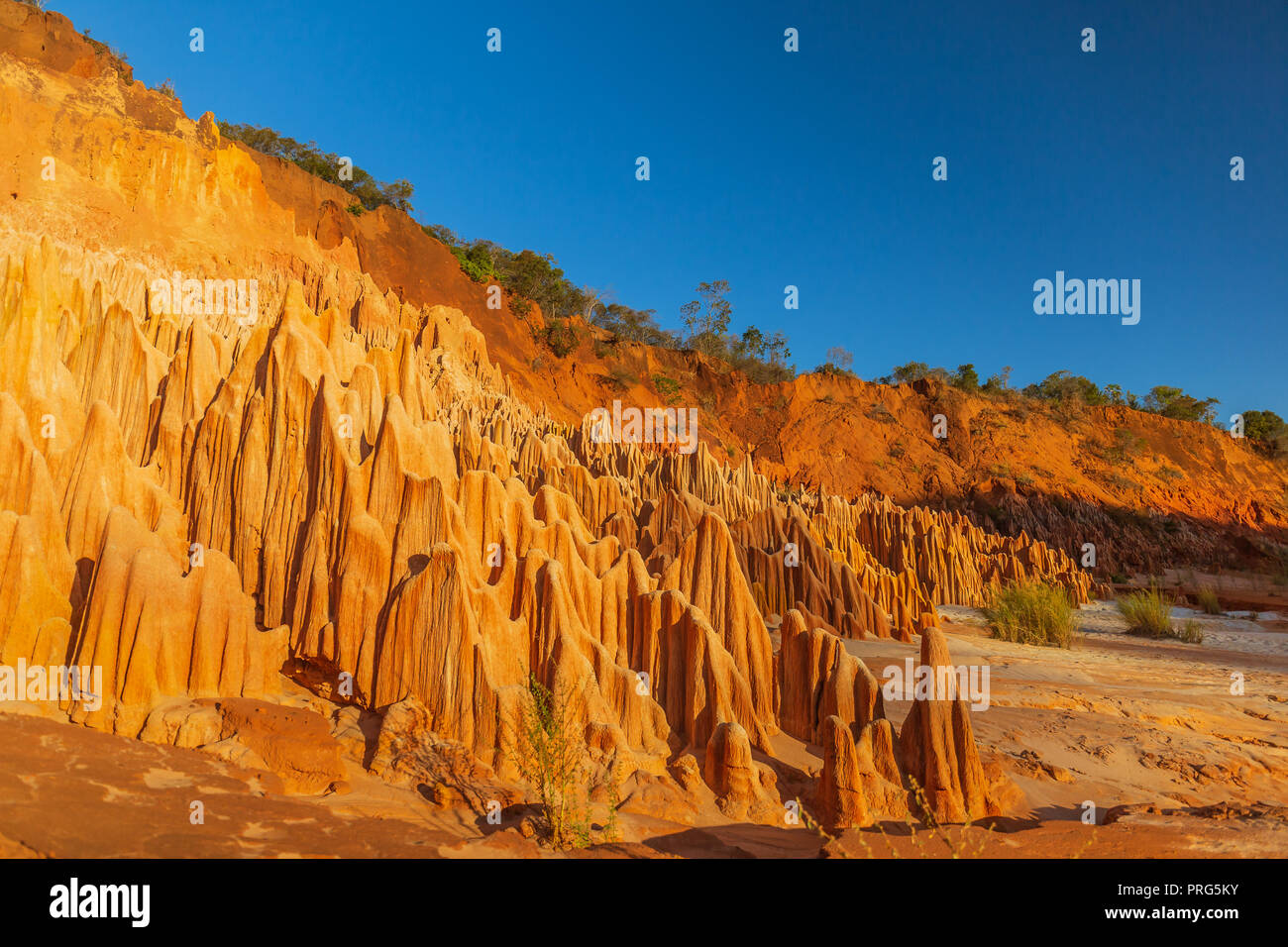 Red tsingys hi-res stock photography and images - Alamy