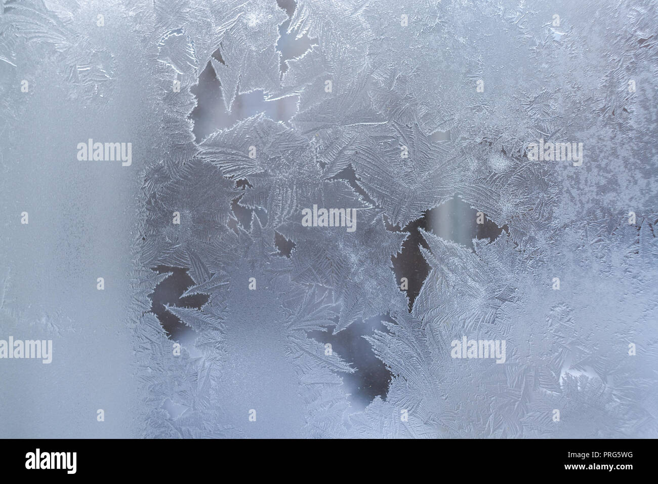Translucent pattern hi-res stock photography and images - Alamy