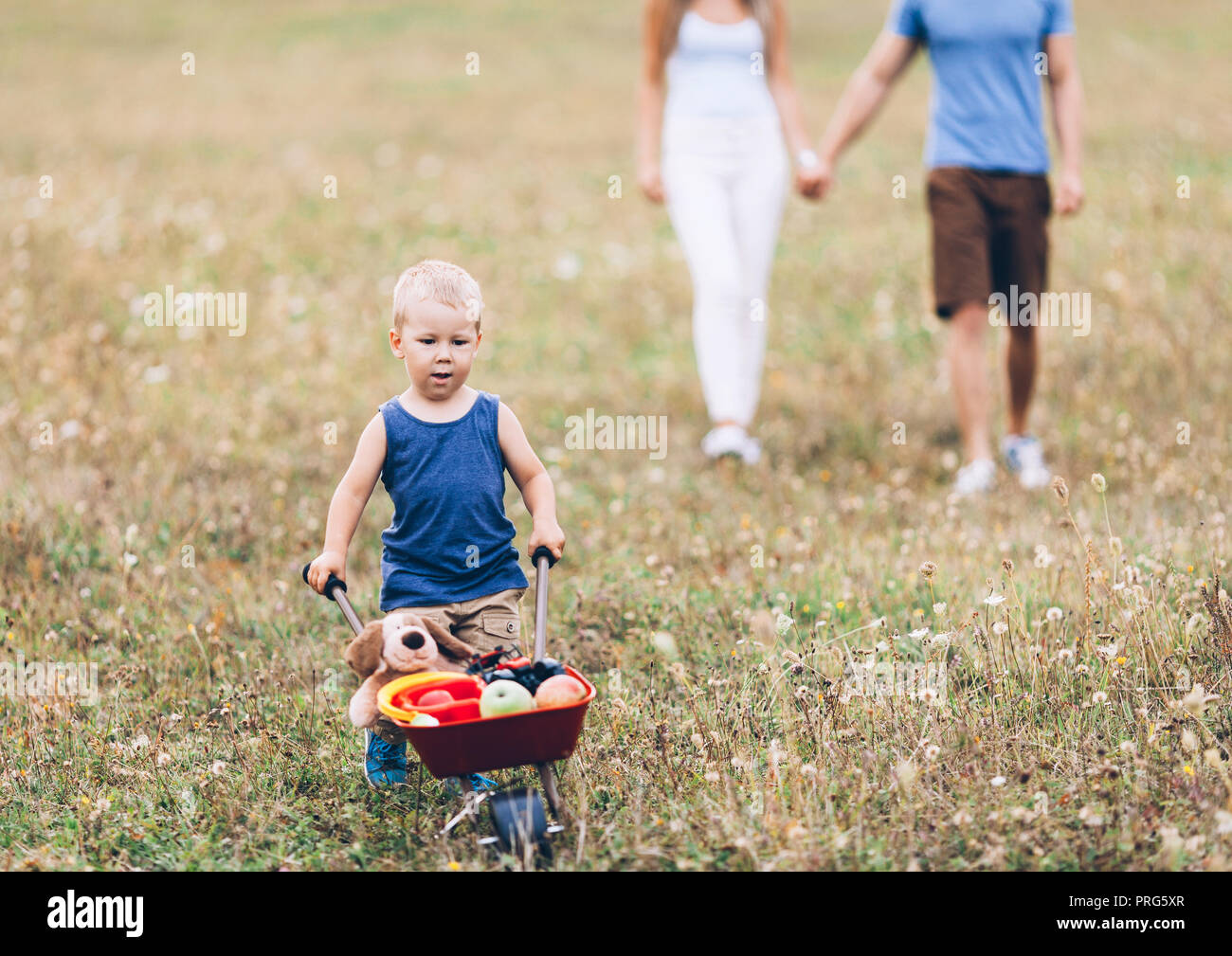 Adorable child with his parents pushing a whellbarrow outdoors Stock ...